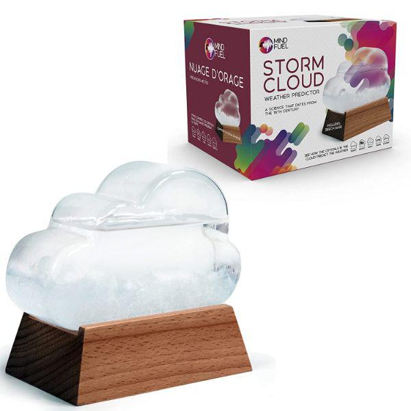 Funtime Gifts Storm Cloud Weather Predictor - The Online Toy Store