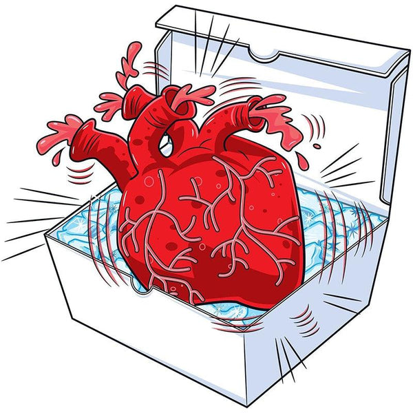 Gross Science Beating Heart Kit - The Online Toy Store